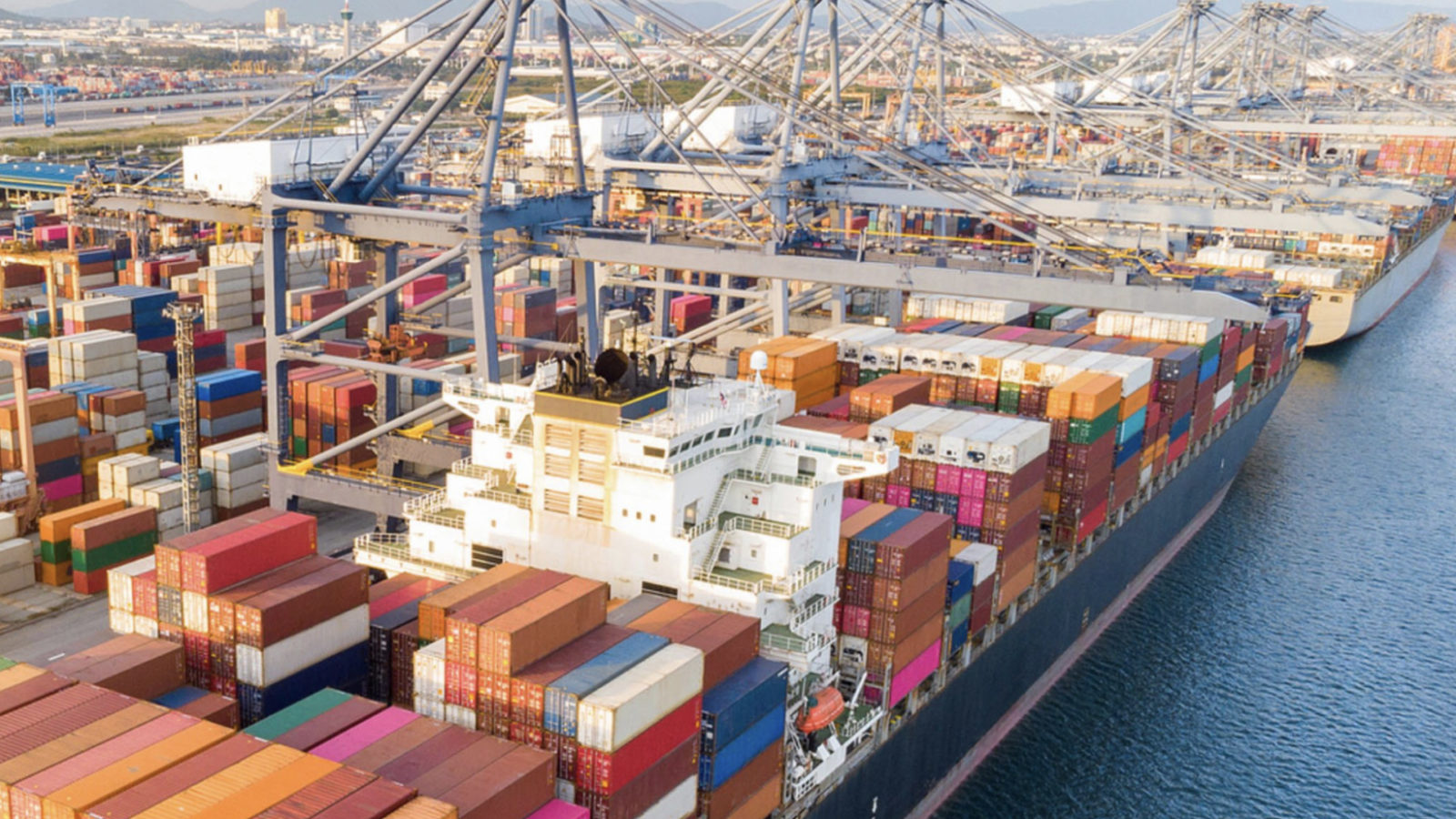 Shipping Woes and an Update on Tea Production Amidst the Pandemic ...